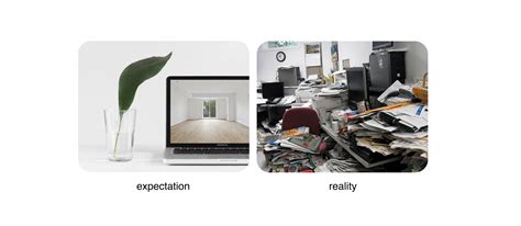 Case Study On Behance