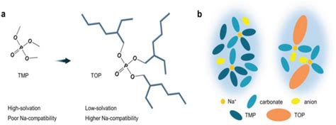 A Design Scheme And Molecular Structures Of Tmp And Top Solvents B Download Scientific