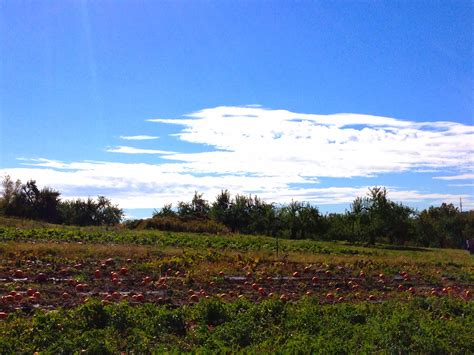 Kvell In The Kitchen Perfect Pumpkin Apple Bread