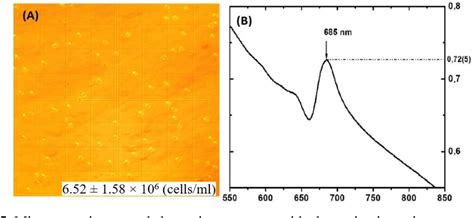 Figure 5 From Fabrication Of Sio2 Materials Used In Diatom Culture