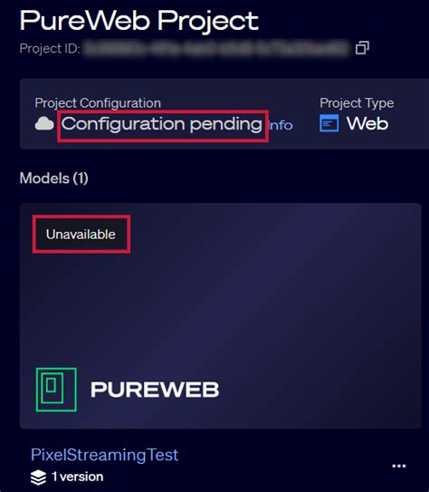 Projects And Models In The Pureweb Console