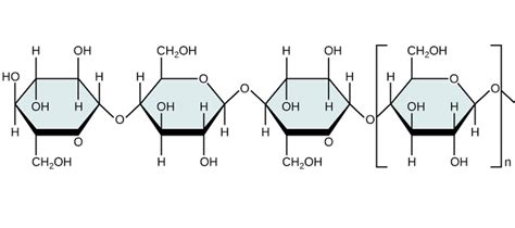 Chemical Makeup Of Sugar Mugeek Vidalondon