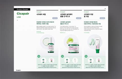 다우기술 회사소개서 Ppt디자인 앤서니파이 팸플릿 안내책자 프리젠테이션