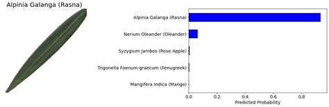 Github Ausafmonotebook Medicinal Herb Model Resnet A Possible Tool