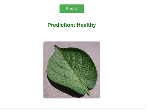 Potato Disease Detection Model Upwork