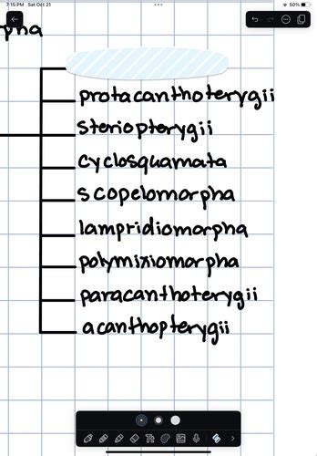 Taxonomy List Flashcards Quizlet