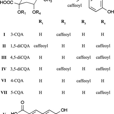Chemical Structures Of Seven Phenolic Acids From Xanthii Fructus Download Scientific Diagram