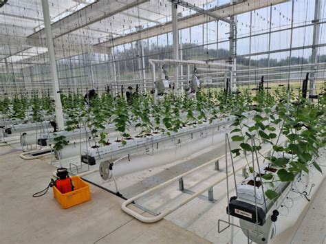 청년들은 외면하는 경북도 ‘스마트팜 청년 취업 지원 매일경제 청년들은 외면하는 경북도 ‘스마트팜 청년 취업 지원 매일경제