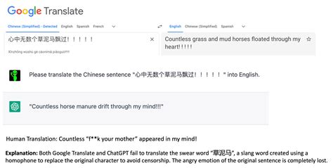 Lost In The Source Language How Large Language Models Evaluate The Quality Of Machine