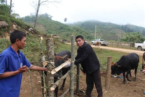 ສອງປີເຄິ່ງຜ່ານມາ ເມືອງກວັນ ສົ່ງສິນຄ້າອອກ ທັງໝົດ 6 ຕື້ກວ່າກີບ Updatelaos