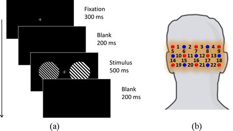 Activation Detection In Functional Near Infrared Spectroscopy By Wavelet Coherence