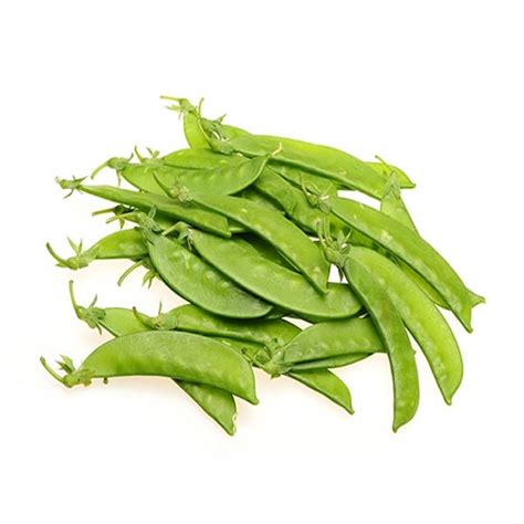 Kapri Kita Supply