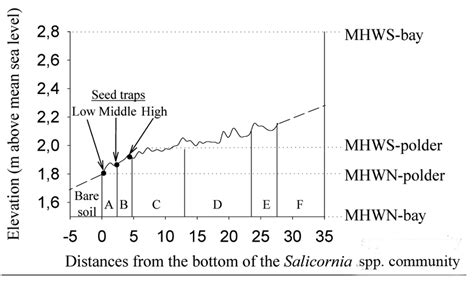 Elevation Profile Of The Transect Of Area Ii Localisation Of Plant Download Scientific