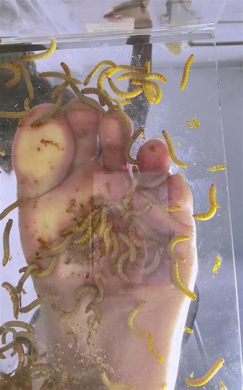 Chinese Giantess Bare Foot Crush Worms Auf Deutsch