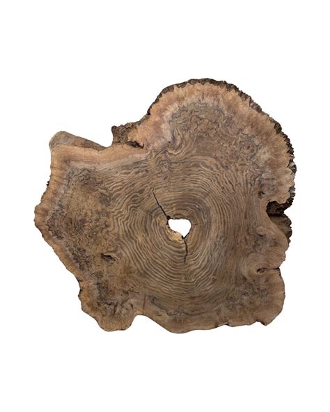 Claro Walnut Burl Cookie Slab 52 Inches Etsy