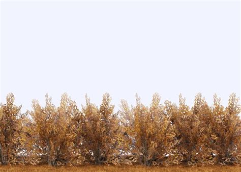 Premium Photo Brown Leaf Plant