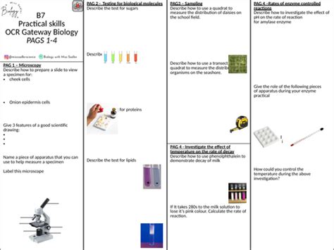 Ocr Gateway Biology Gcse Revision Grid B7 Practical Skills Teaching Resources