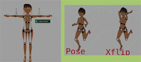 Paste X Flipped Pose Option Seems To Not Work Animation And Rigging Blender Artists Community