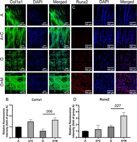Melt Electrowriting Combined With Fused Deposition Modeling Printing F Ijn