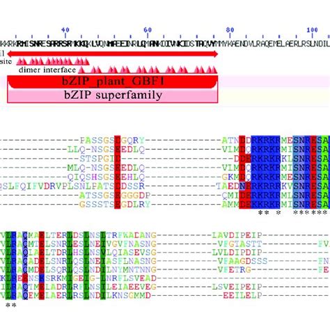 The Predicted Conserved Domains And Protein Sequence Alignment Of Download Scientific Diagram