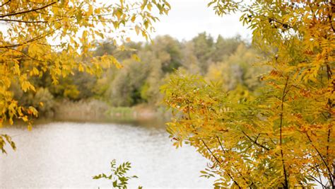 Meteo 28 Septembrie 2024 Cer Variabil și Maxime De Până La 30°c