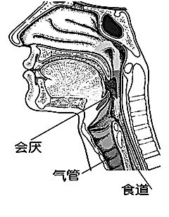 姑娘嗓子疼从就诊到去世仅10分钟 看看医生怎么说