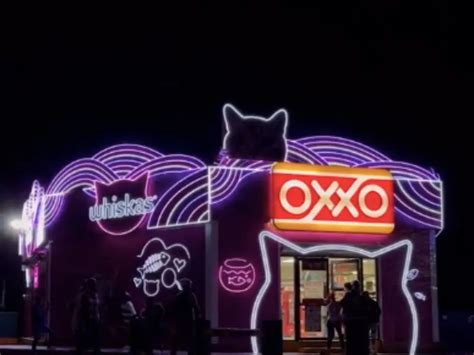 Actualidad ¿dónde Está El Michi Oxxo La Tienda Que Se Volvió Viral