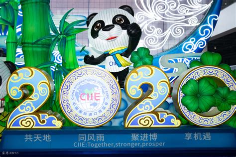2020进博会：抢先看现场熊猫 进宝”的多种 萌态”