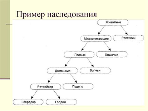 Наследование классов C Beginner Intermediate Advanced Хабр