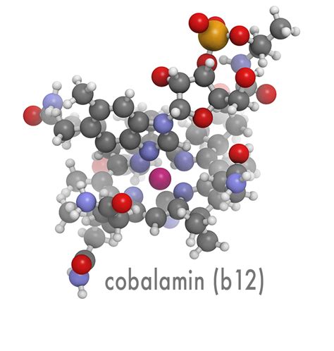 Cobalamin Structure