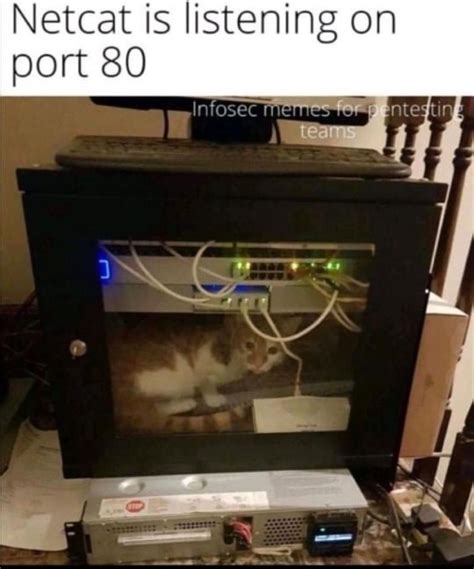 Hossam Eddine Ihab Bouchemal Posted On Linkedin