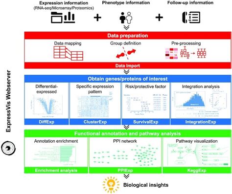 Expressvis A Biologist Oriented Interactive Web Server For Exploring Multi Omics Data Pmc