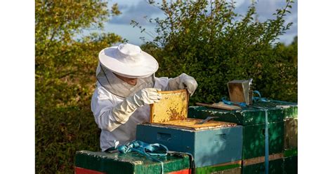 Подпомагане на много малки земеделски стопанства въпроси и отговори