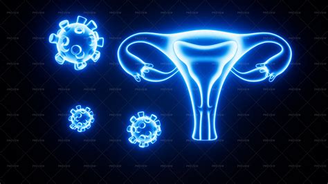Virus Attacking A Uterus Graphics Motion Array