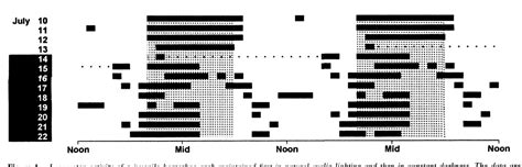 Figure 1 From Circadian Rhythms In Locomotor Activity Of Juvenile