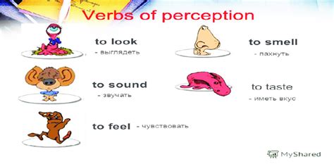 5 Perception Verbs Source Verbs Of