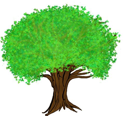 big tree png clipart images and photos finder