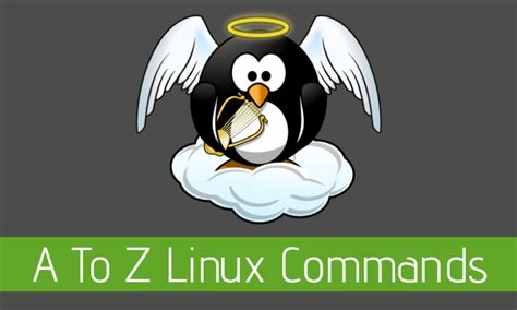 Mastering Unix Commands A Comprehensive Guide 55 Off