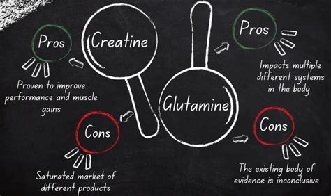 Glutamine Vs Creatine Comparison Dosing And Benefits