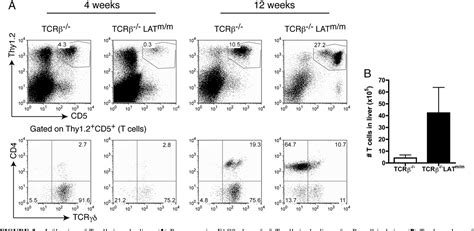 Figure 5 From The Role Of Lat Plcγ1 Interaction In γδ T Cell Development And Homeostasis