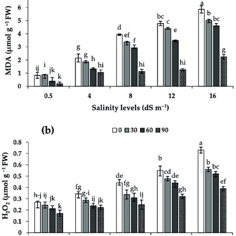 Effects Of Mel Foliar Applications 0 30 60 And 90 µm On Mda A
