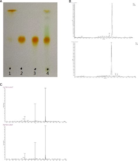 A Thin Layer Chromatography Of Standard β Carotene Lane 1