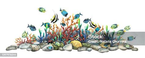 다양한 열대 물고기 자갈 조류 및 바다 스폰지가있는 산호초 밝고 육즙이 많고 수채화 된 일러스트레이션 배너 기념품 엽서 포스터 디자인 및 인쇄 디자인을위한 보드 물고기에