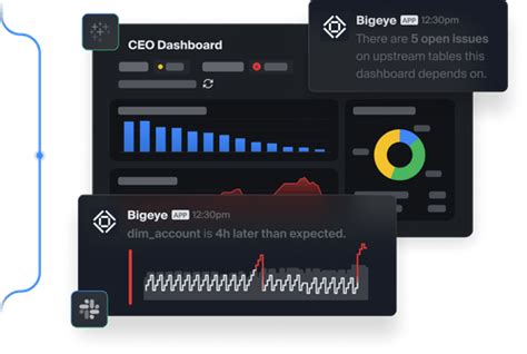 Bigeye Data Observability