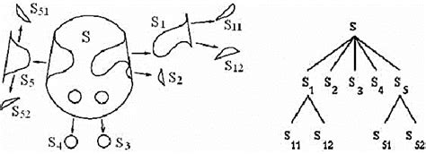 Convex Hull Based Shapes Representation And Shape Tree Derived From The Download Scientific