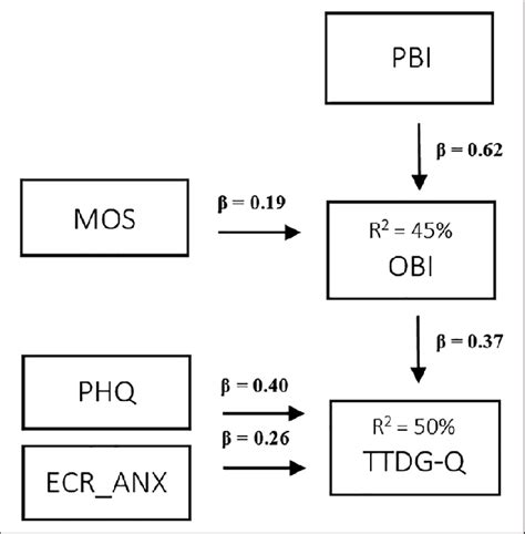 Structural Equation Modeling Sem The Relationships Between The