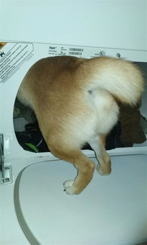 Stepbrother Im Stuck Rfunny