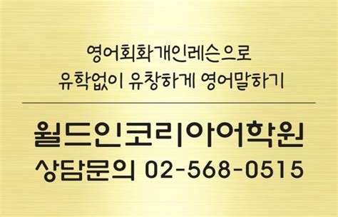 잠실성인영어과외송파직장인영어회화개인레슨으로 유학없이 유창하게 영어말하기 네이버 블로그