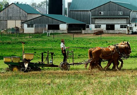 El Particular Mundo De Los Amish La Pericana
