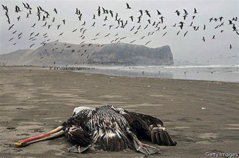تاریخ برگزاری آزمون سازمان حفاظت محیط‌زیست اعلام شد فردای اقتصاد